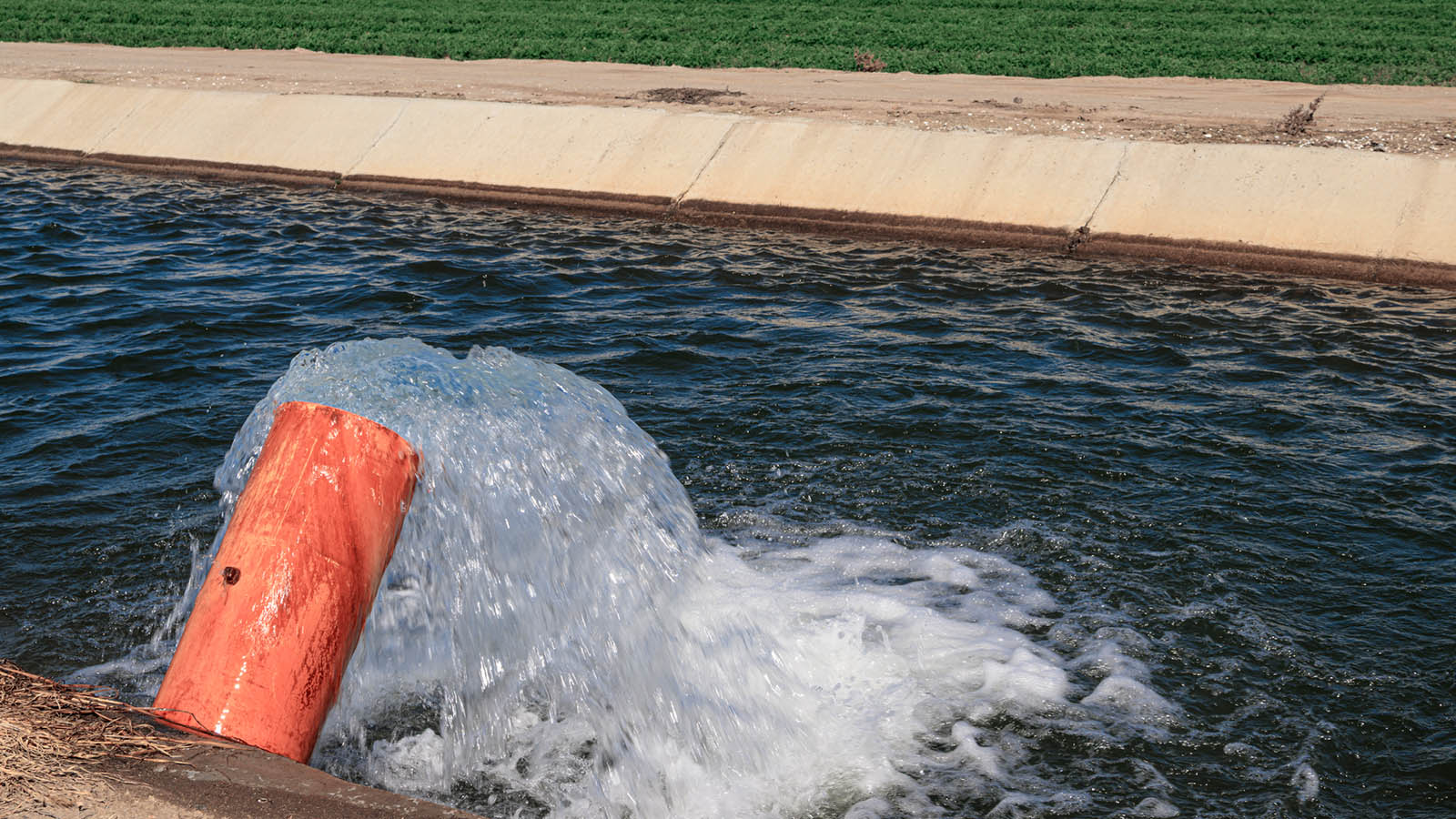 RedVector.com - Sign In With Cart